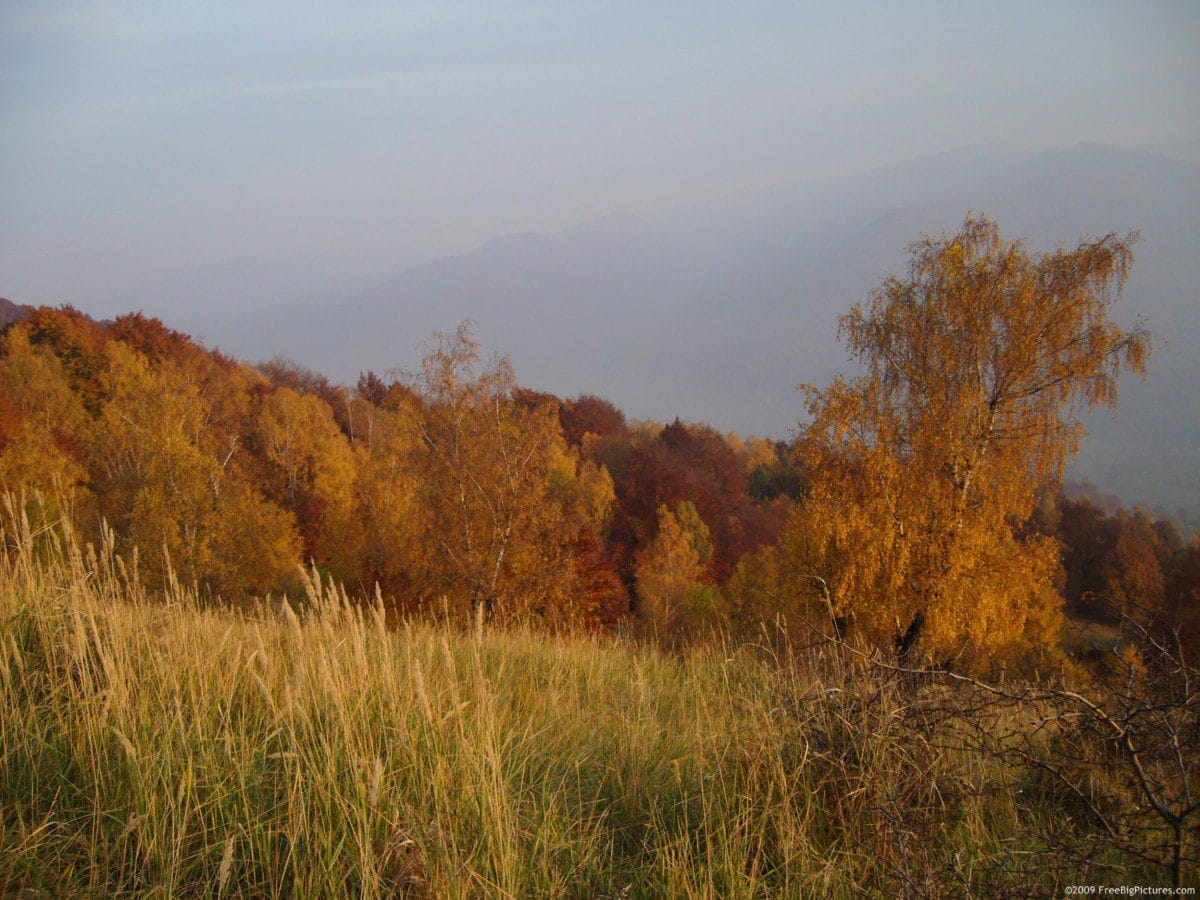 Autumn Pictures – FREEBigPictures.com