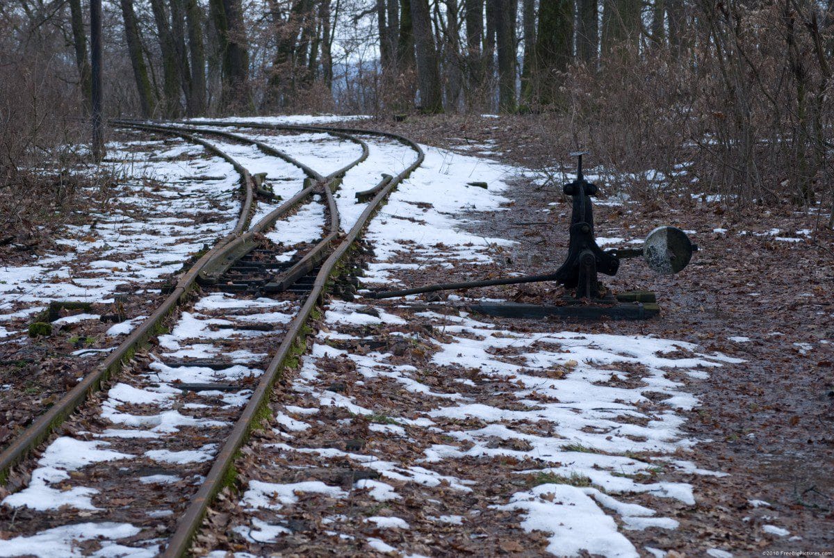 Forest Railway – FREEBigPictures.com