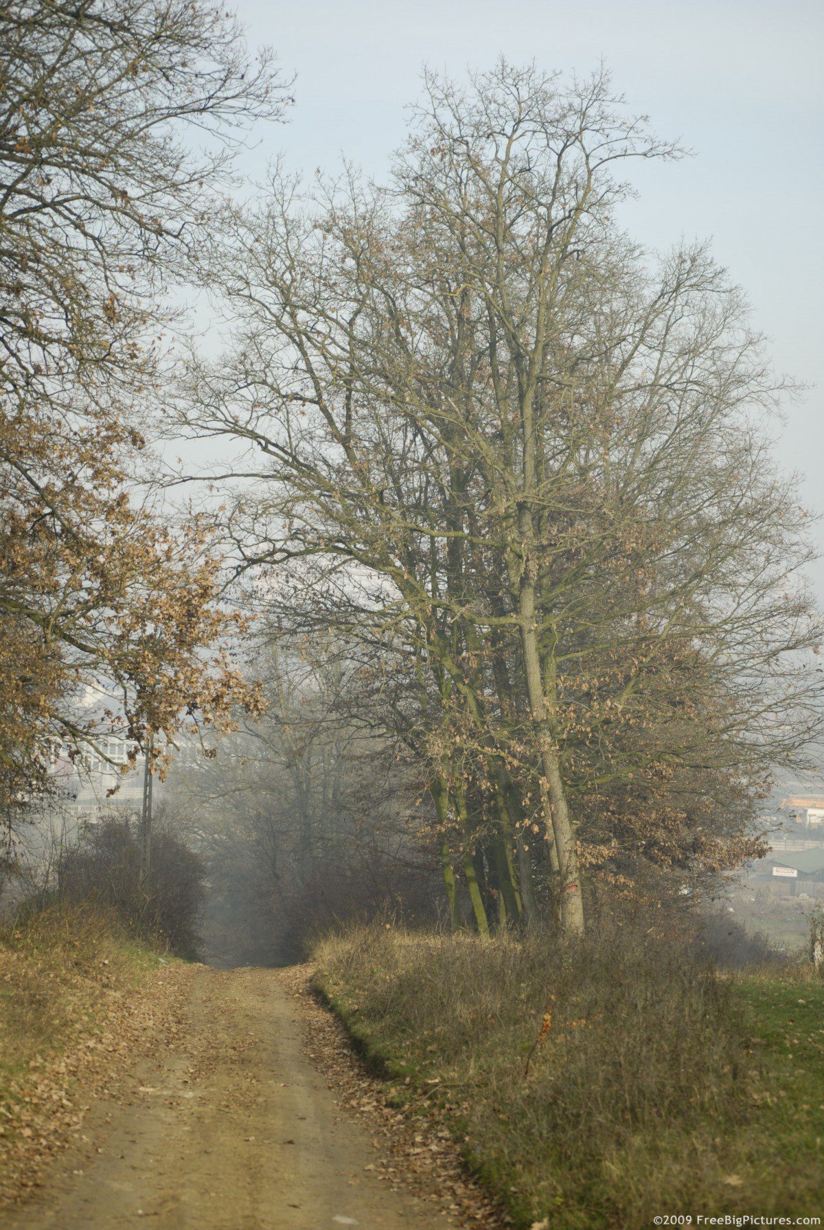 Pathway – FREEBigPictures.com