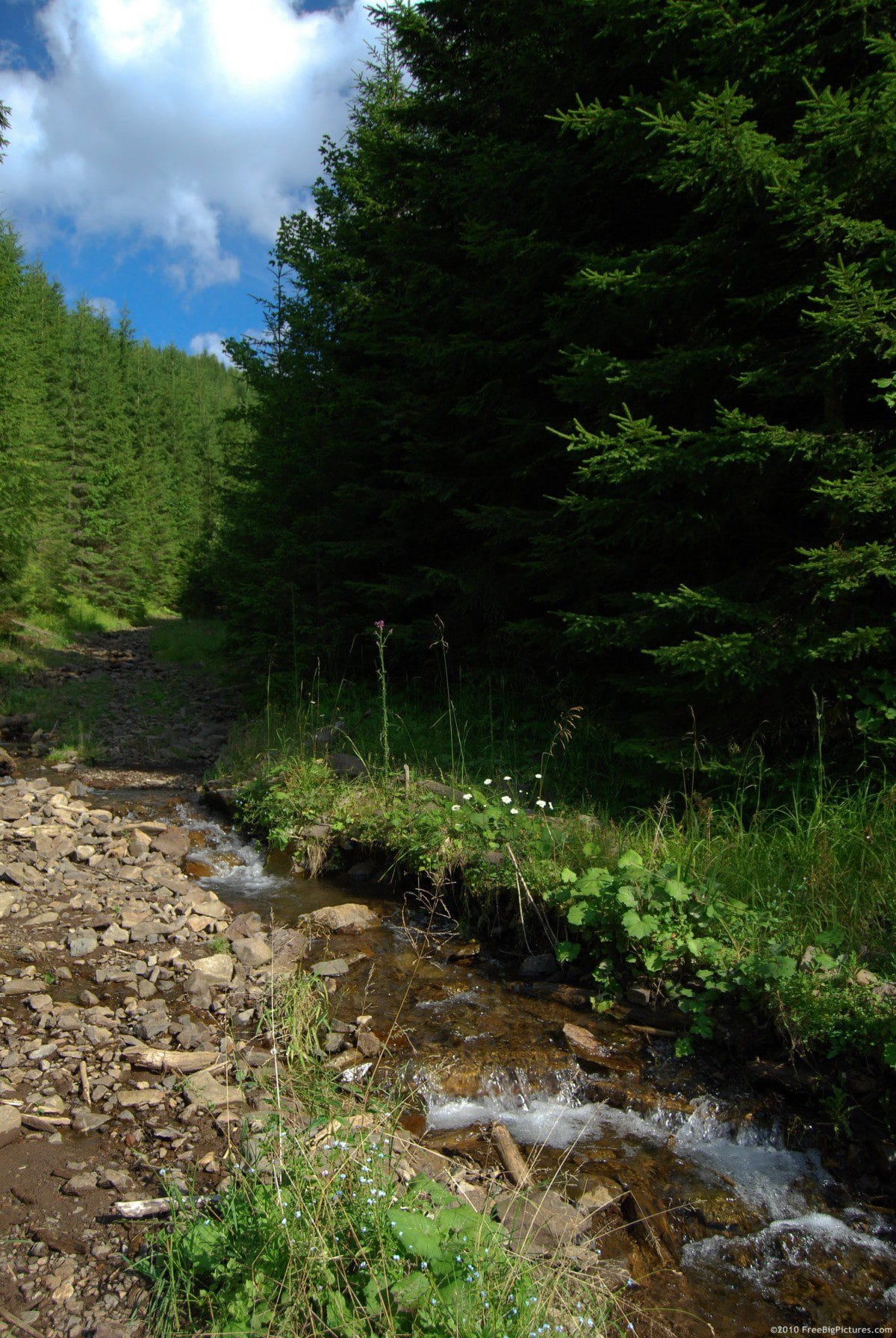 River Pictures – FREEBigPictures.com