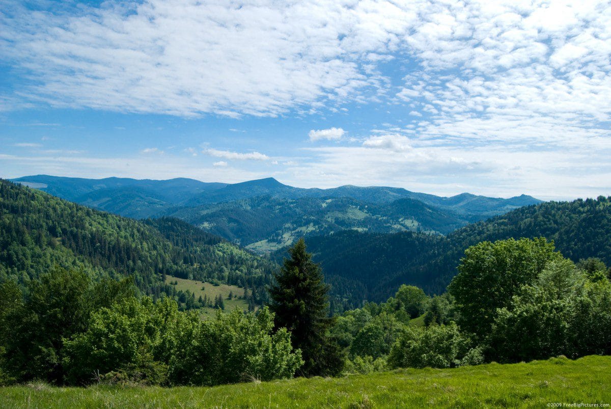 Summer Pictures – FREEBigPictures.com