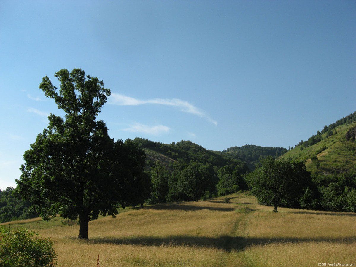 Summer Pictures – FREEBigPictures.com