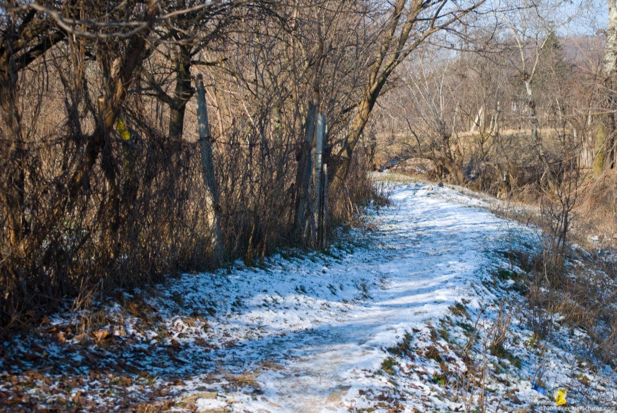 White Path – FREEBigPictures.com