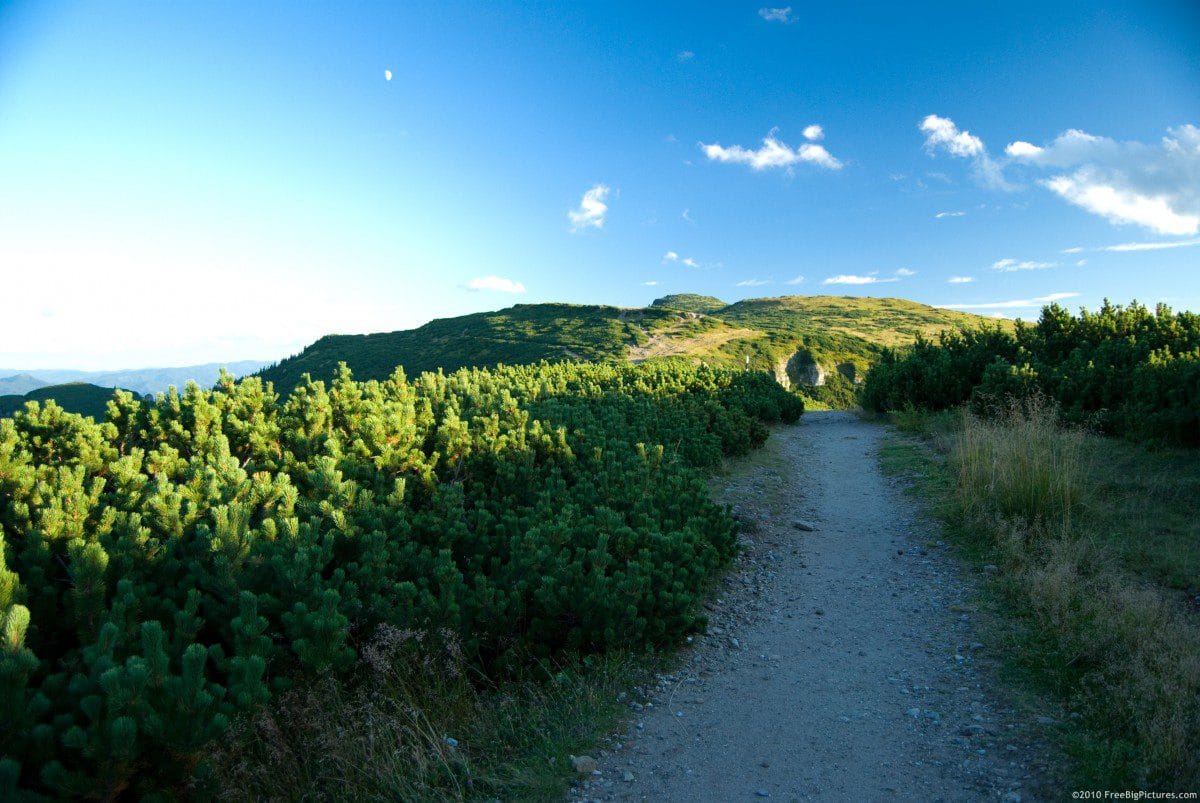 Mountain Track – FREEBigPictures.com