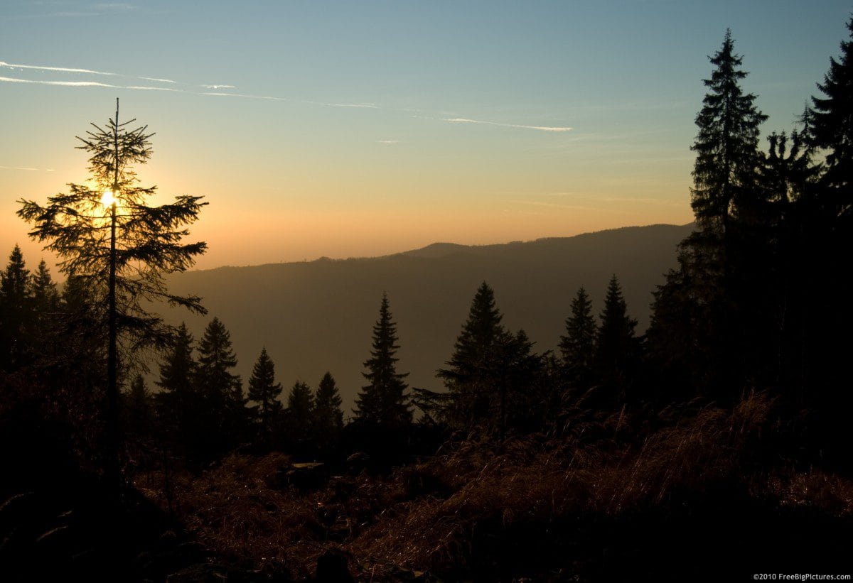 Sun Fall – FREEBigPictures.com